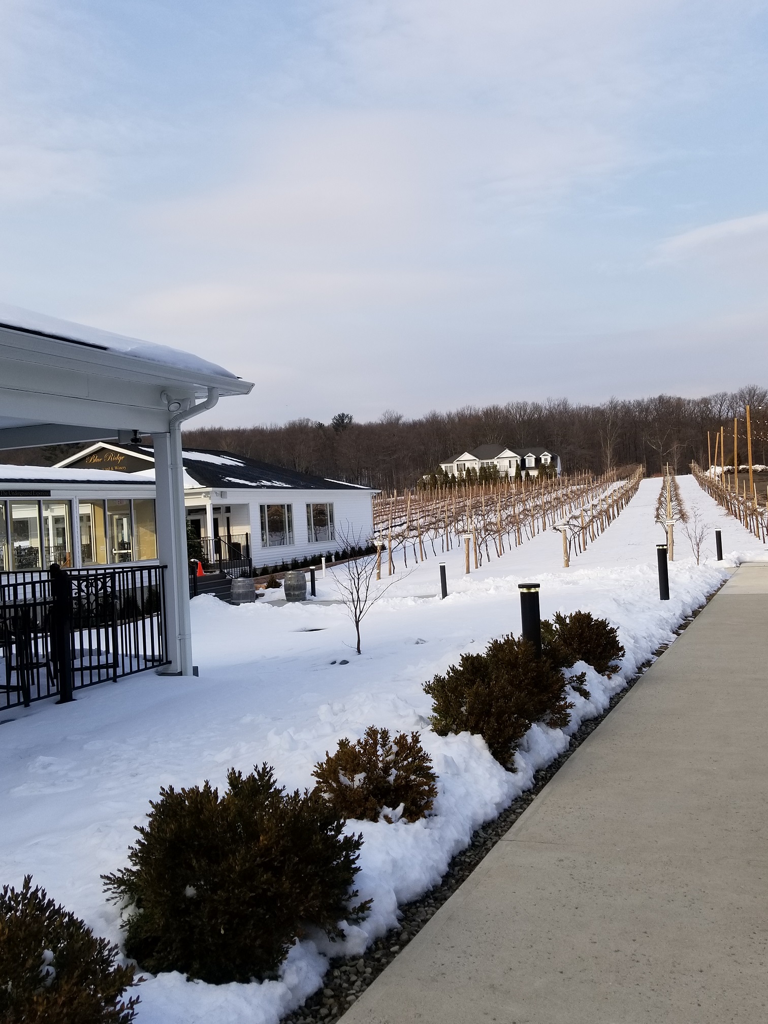 Blue Ridge Estate Vineyard and Winery | Team Zuhl